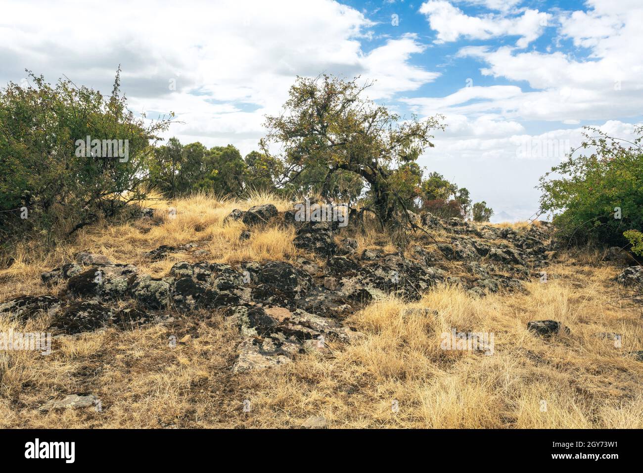 Beautiful highland landscape with valley. Afar region near city Mekelle ...