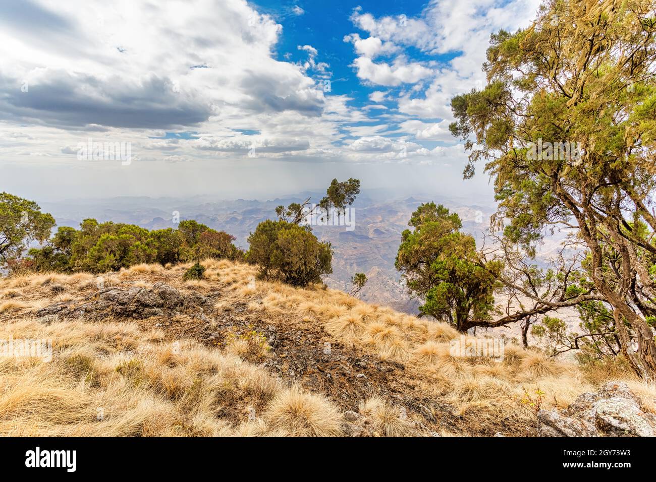 Beautiful highland landscape with valley. Afar region near city Mekelle ...