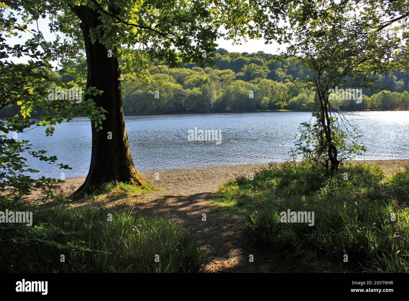 Loch Ken - Castle Douglas Stock Photo - Alamy