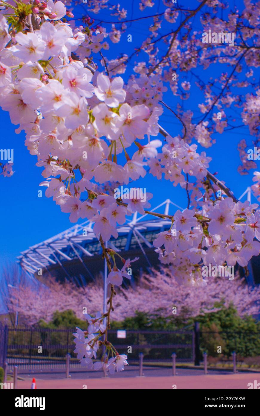 Tokyo stadium chofu hi-res stock photography and images - Alamy