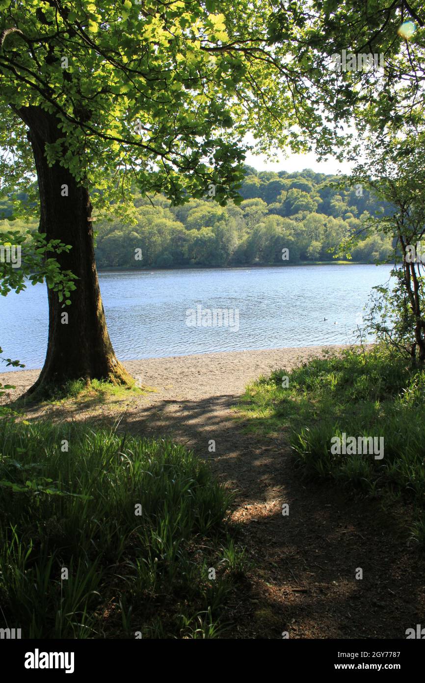 Loch Ken - Castle Douglas Stock Photo - Alamy