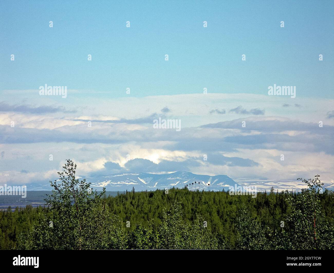 Forest tundra landscape in the summer. Taiga of Siberia. Yamal Stock ...