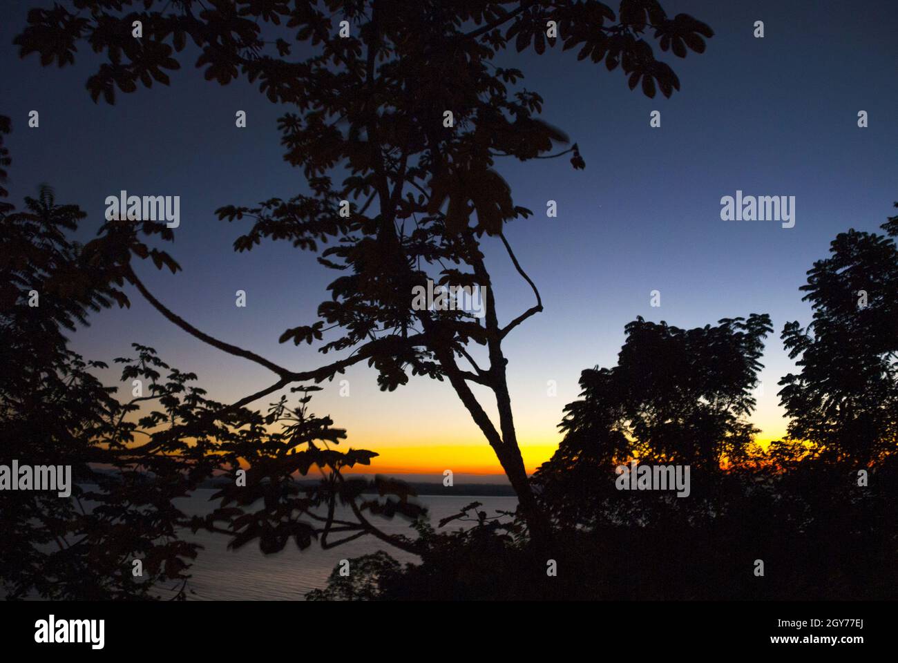 Maya biosphere reserve guatemala hi-res stock photography and images ...