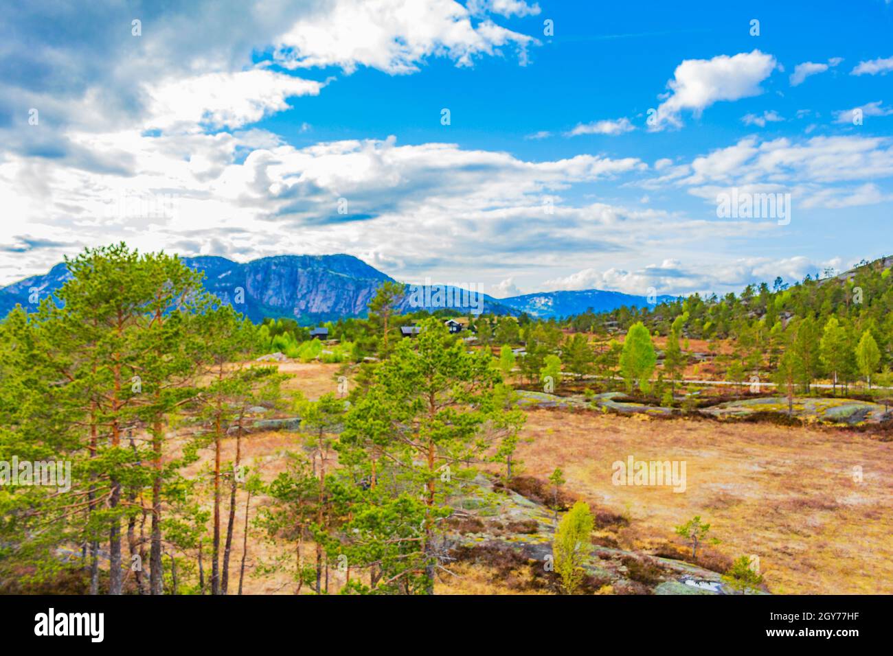 Panorama with fir trees cabins cottages and mountains in nature ...