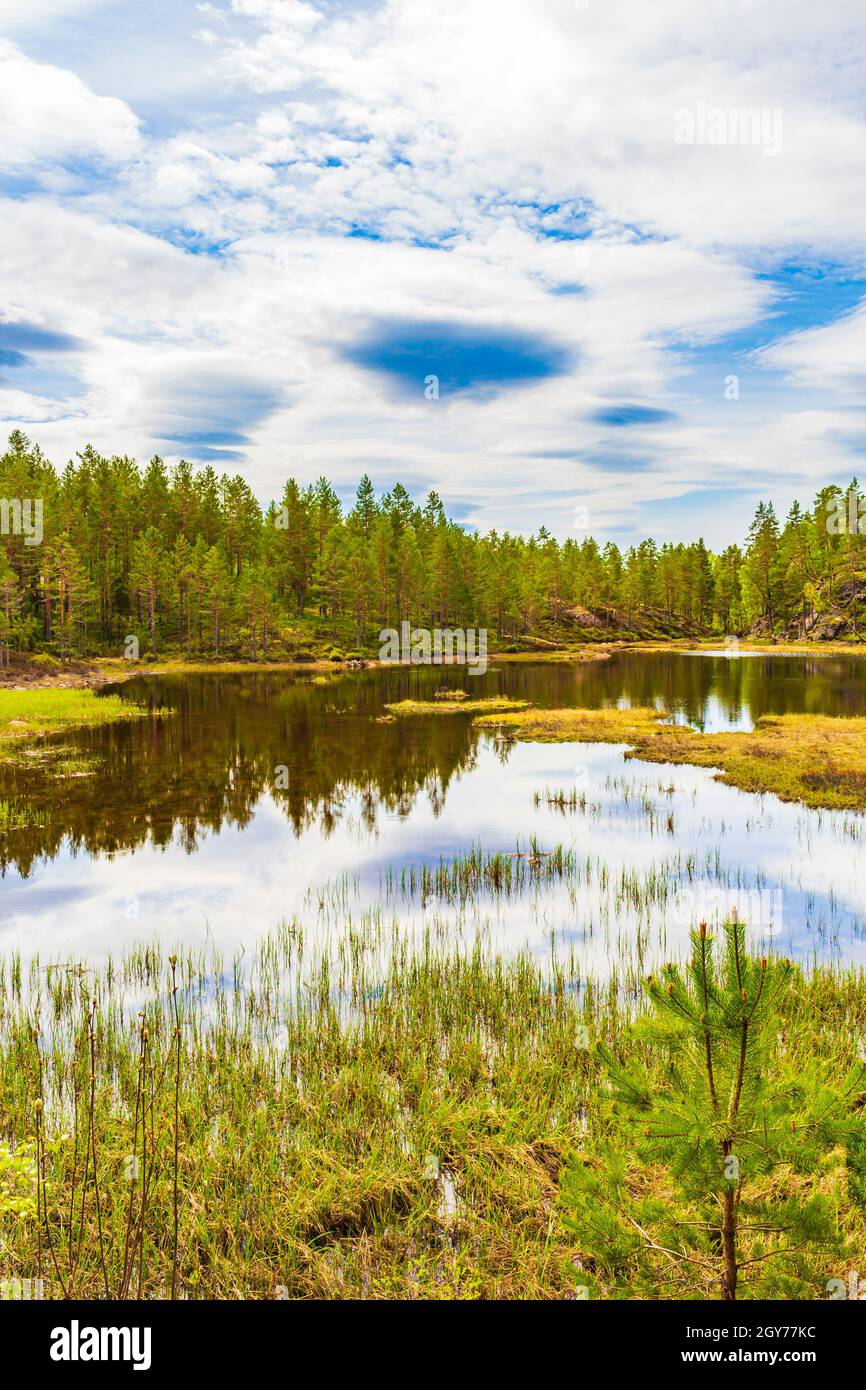 Bright blue sky reflection in water of lake river in nature landscape ...