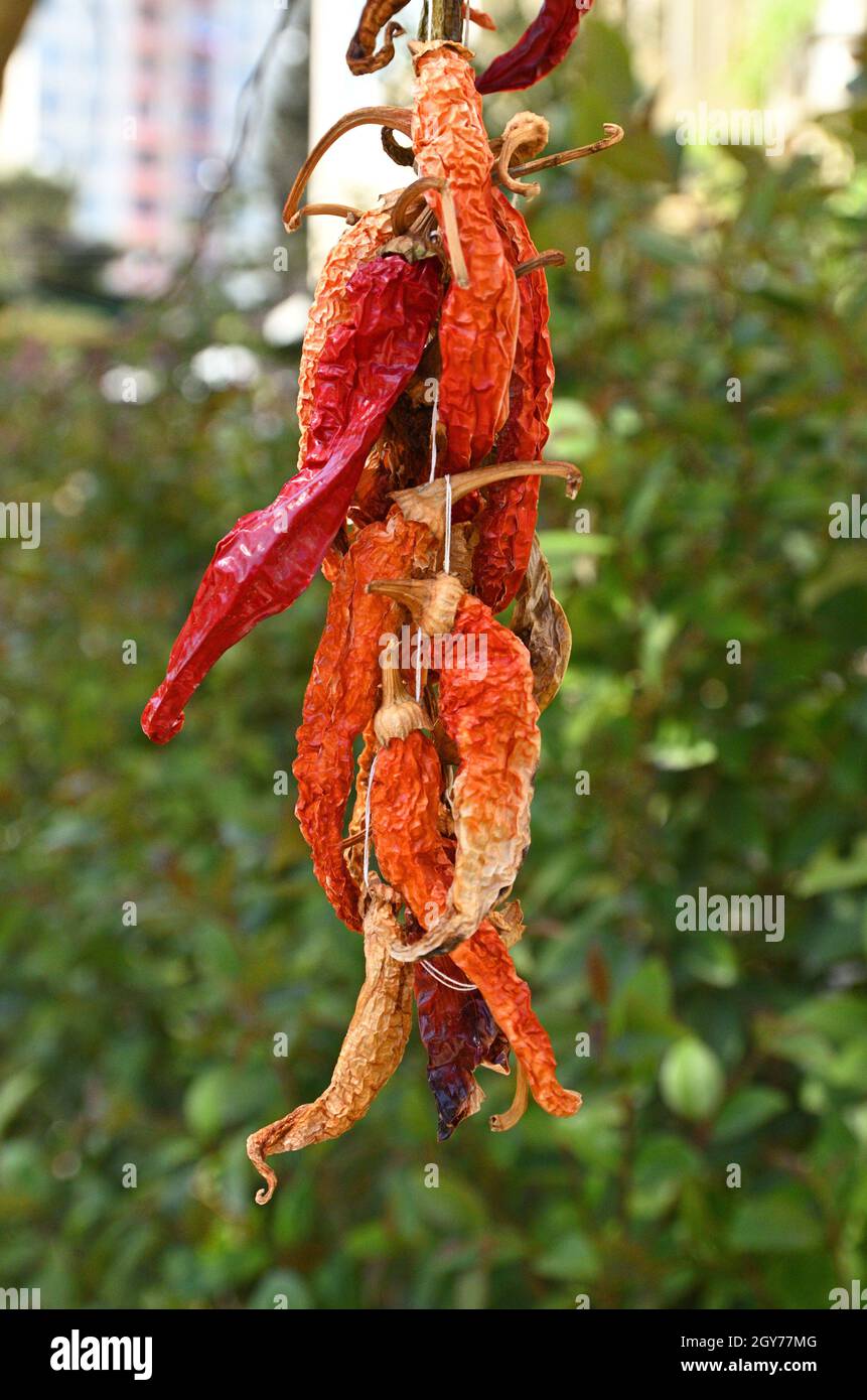 Suspended on rope hi-res stock photography and images - Alamy