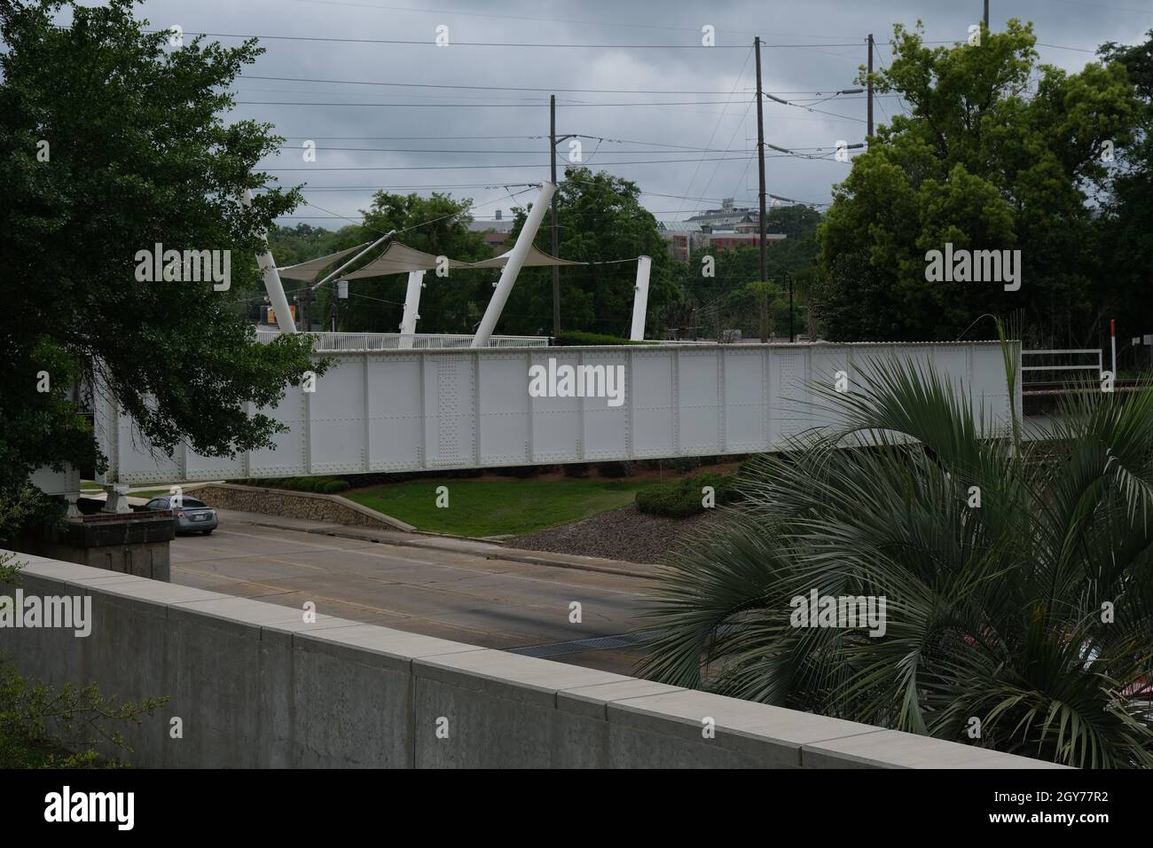 Railroad overpass bridge with tree and power lines in Cascade Park in ...