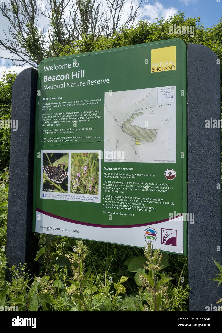 Beacon Hill National Nature Reserve information board near Burghclere ...