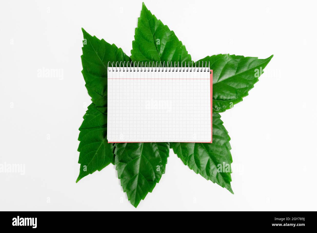 Saving Environment Ideas And Plans, Creating Sustainable Products Stock ...