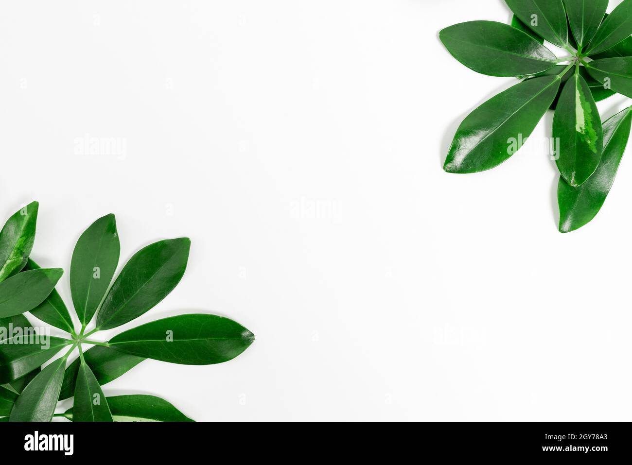 Saving Environment Ideas And Plans, Creating Sustainable Products Stock ...