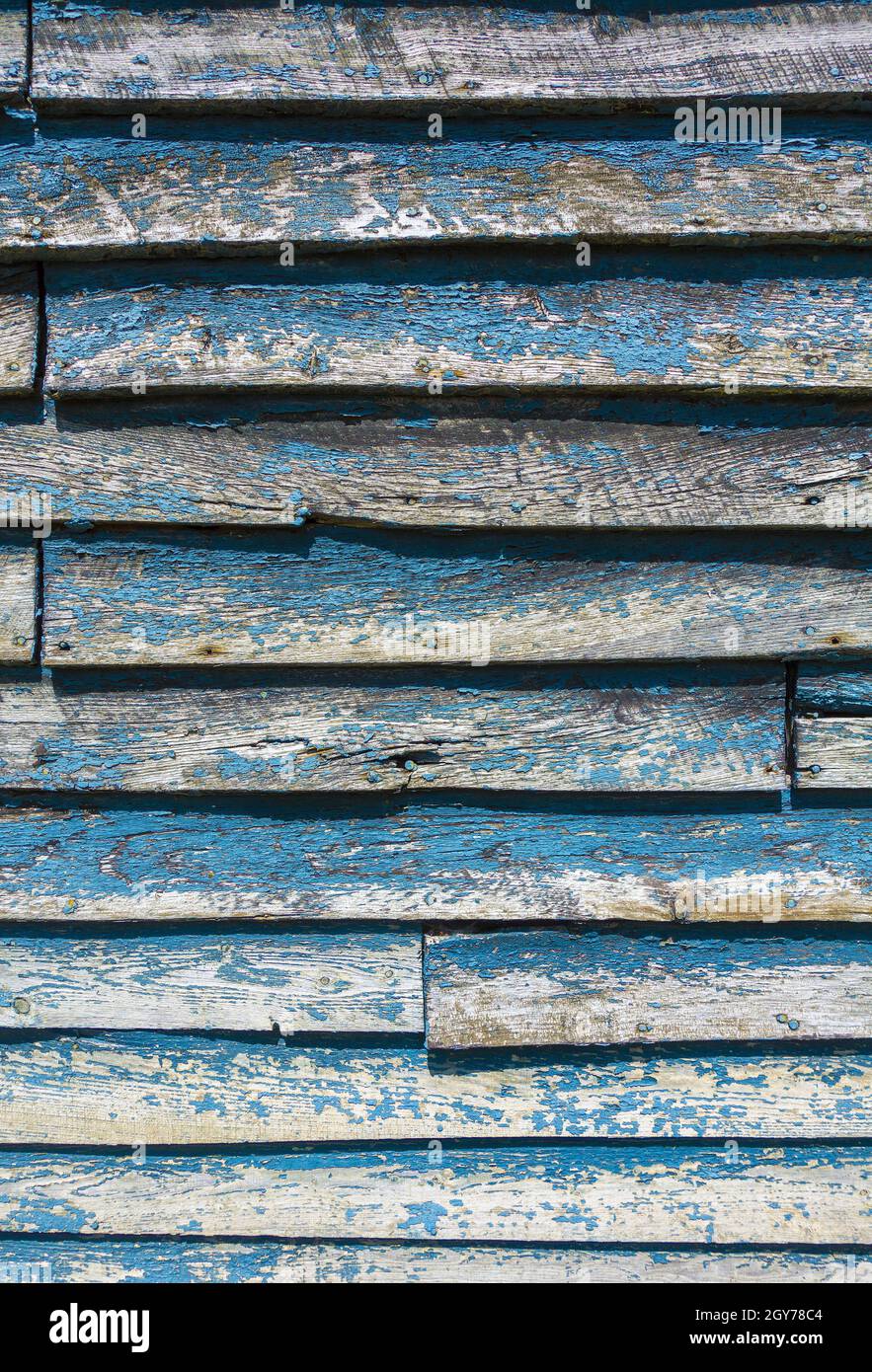 Weathered wooden shed with blue peeling paint Stock Photo - Alamy