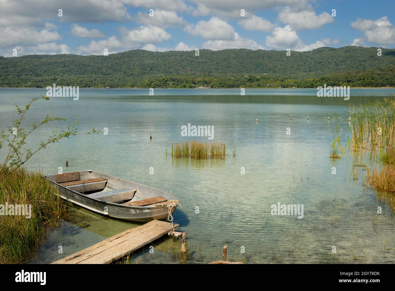 Maya biosphere reserve guatemala hi-res stock photography and images ...
