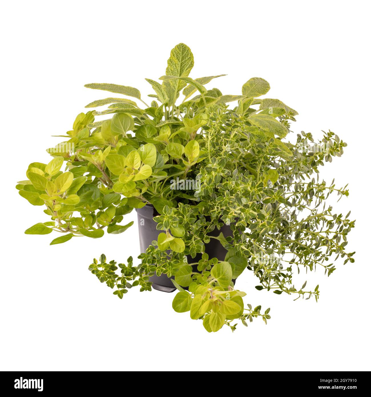 Pots in kitchen on Cut Out Stock Images & Pictures - Alamy