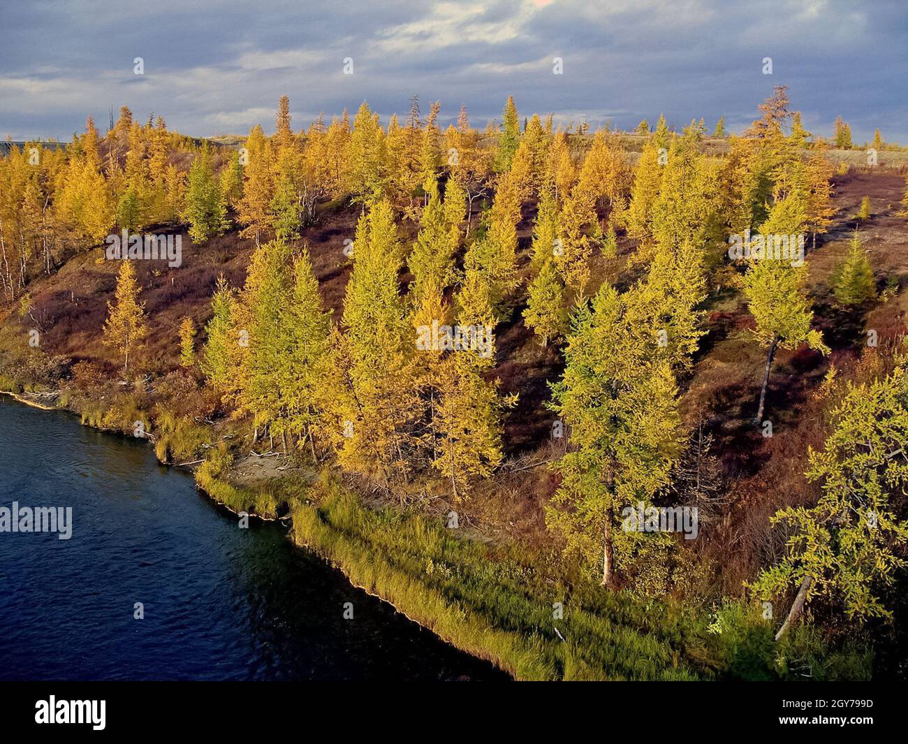 Yamal Peninsula Landscape