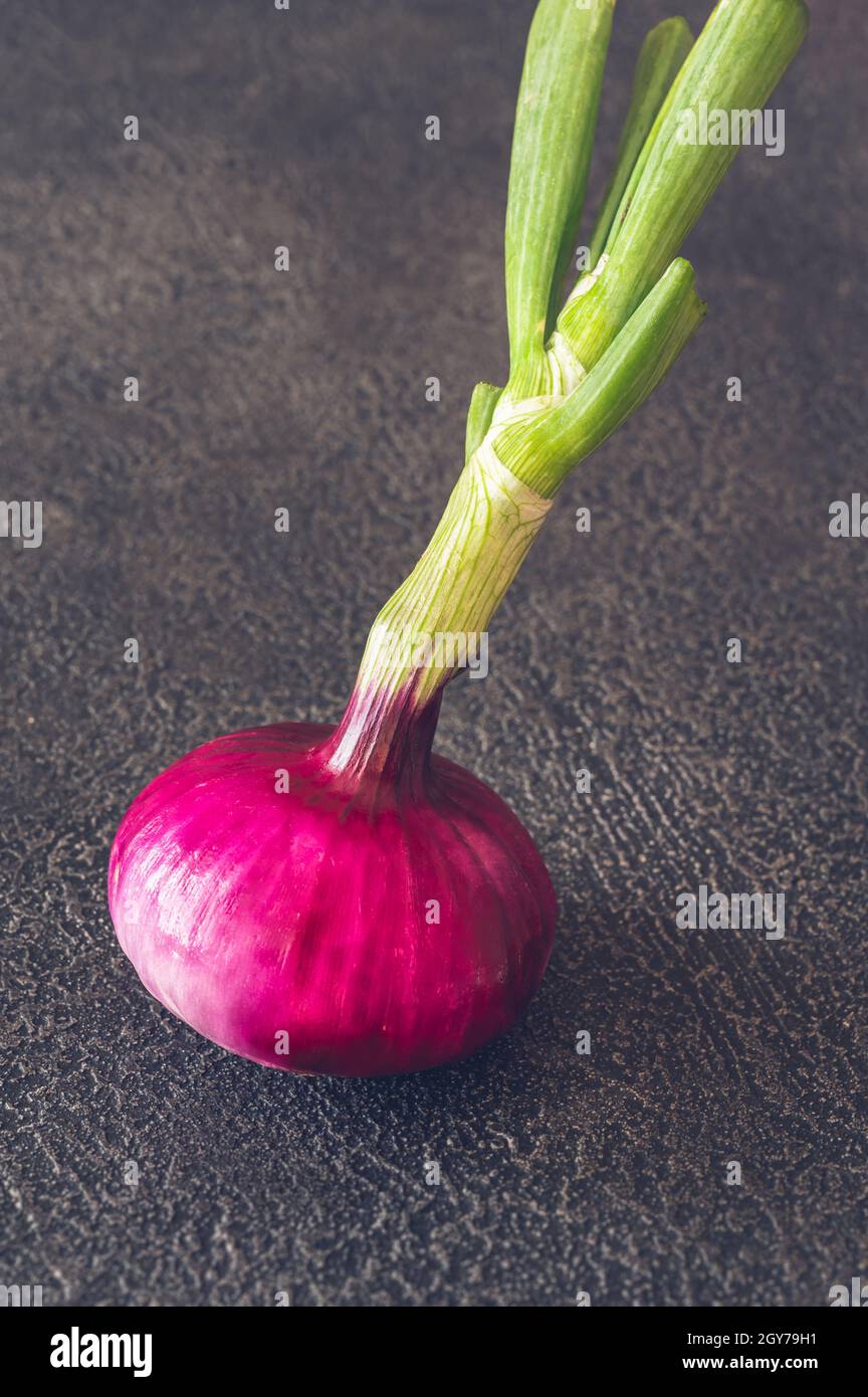 Top view peeled onion hi-res stock photography and images - Alamy