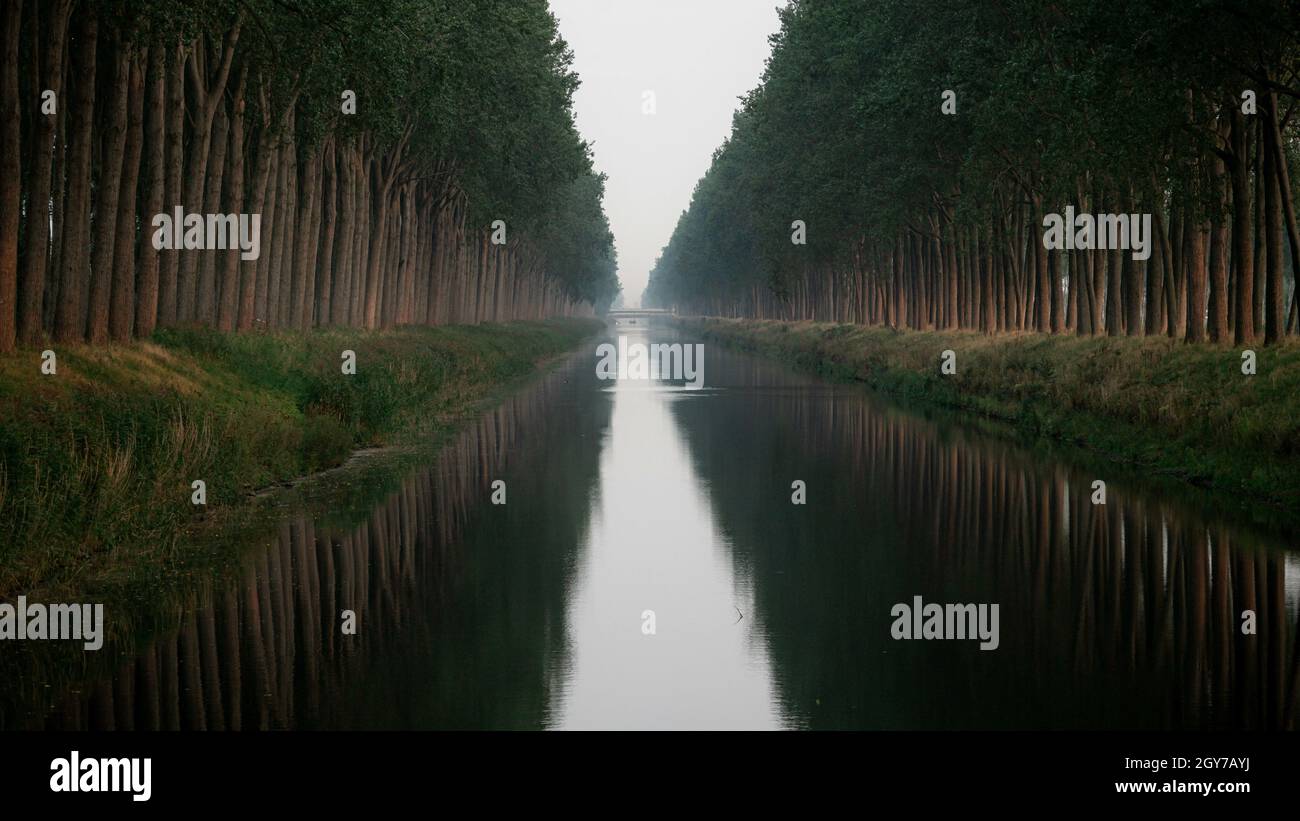Avenue trees in netherlands hi-res stock photography and images - Alamy