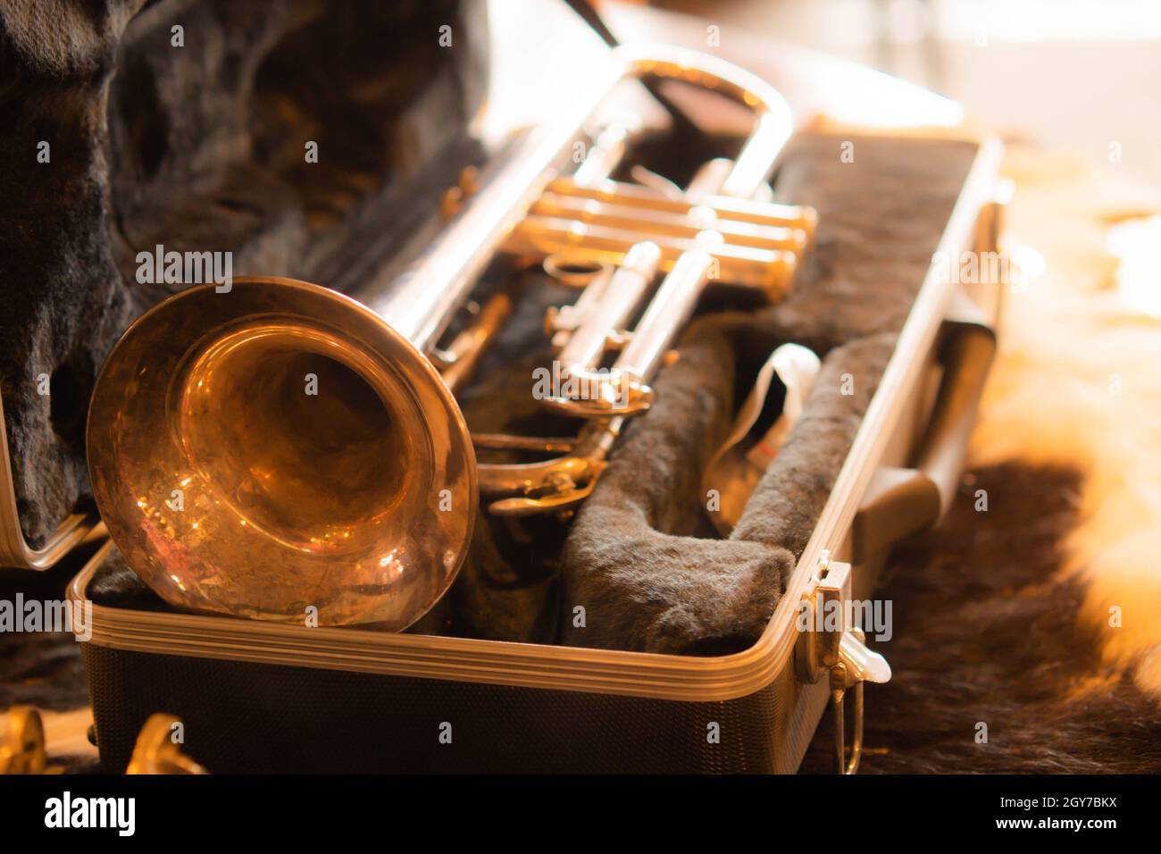 Old Golden Trumpet In A Black Fur Case Close up Beautiful Vintage ...