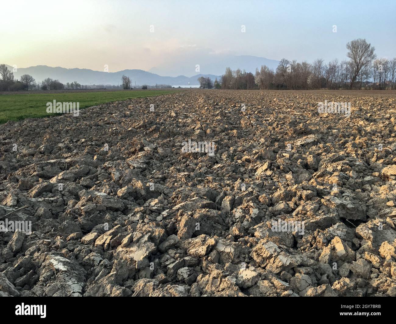 Open ground cultivation hi-res stock photography and images - Alamy