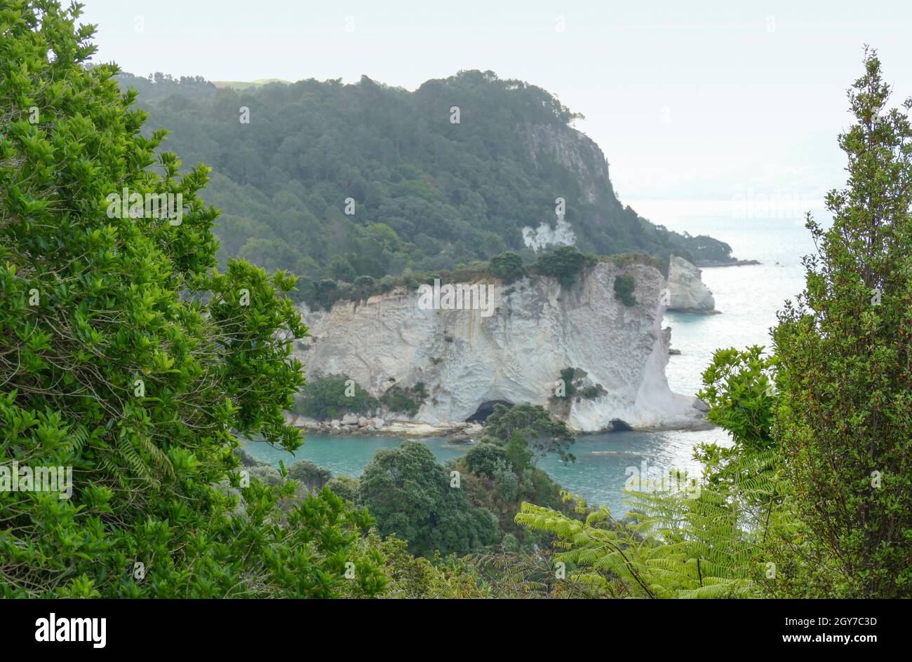 Coastal scenery at Stingray Bay in New Zealand Stock Photo - Alamy