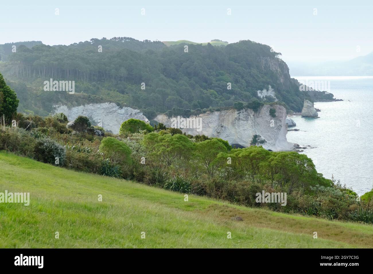 Coastal scenery at Stingray Bay in New Zealand Stock Photo - Alamy