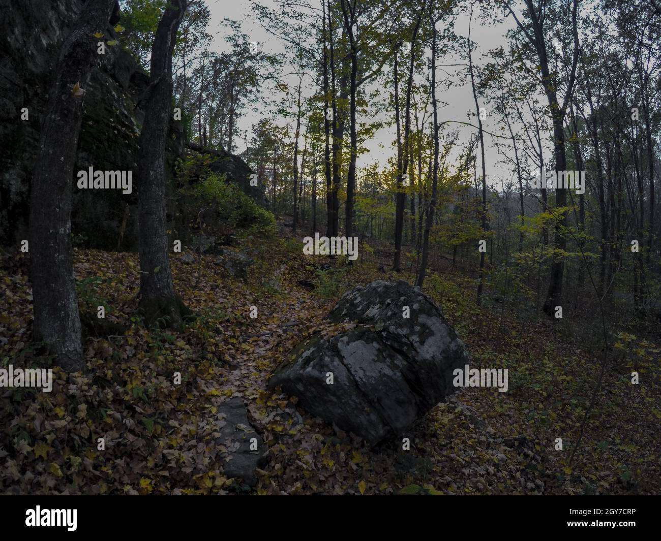 An amazing hike through the trail of Giant City, one of my favorite ...