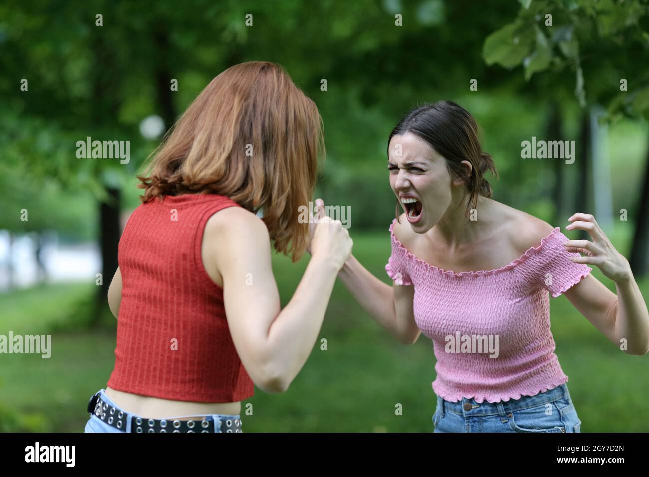 Two angry women arguing aggressively in a park Stock Photo - Alamy