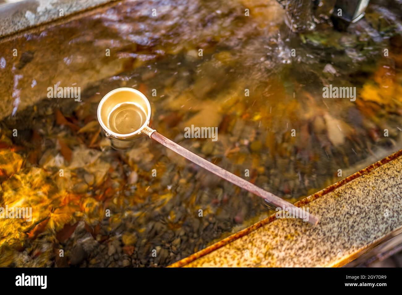 Ladle gourd hi-res stock photography and images - Alamy