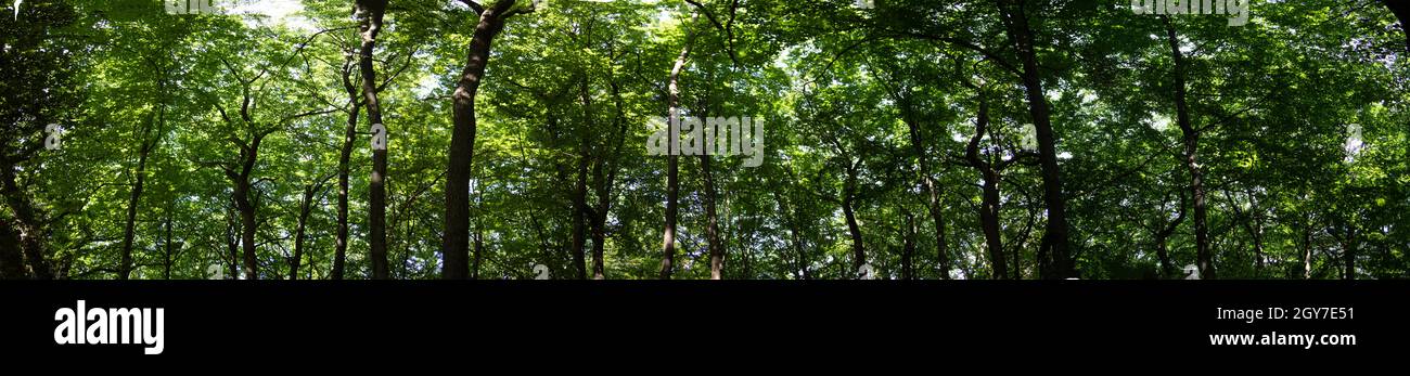 Turn to ash hi-res stock photography and images - Alamy