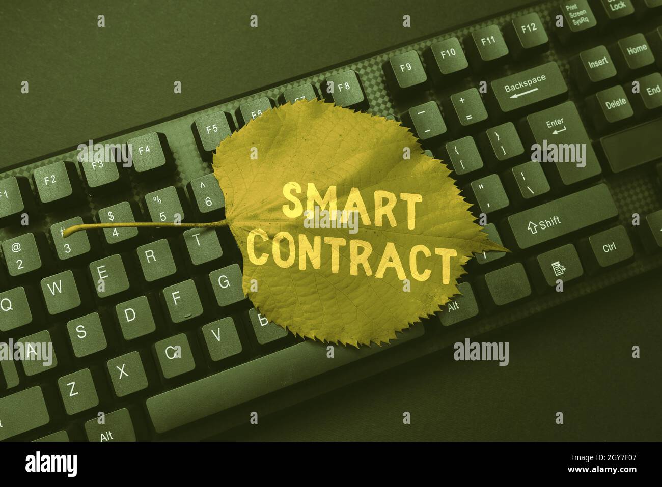 Conceptual caption Smart Contract, Word Written on digital agreement to ... Conceptual caption Smart Contract, Word Written on digital agreement to ...