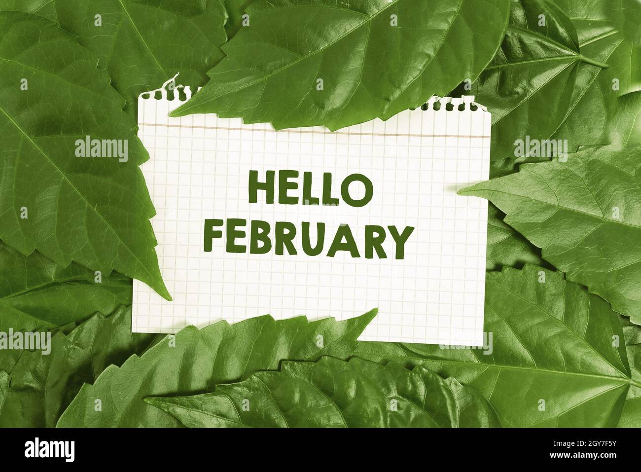 Text caption presenting Hello February, Concept meaning greeting used ...