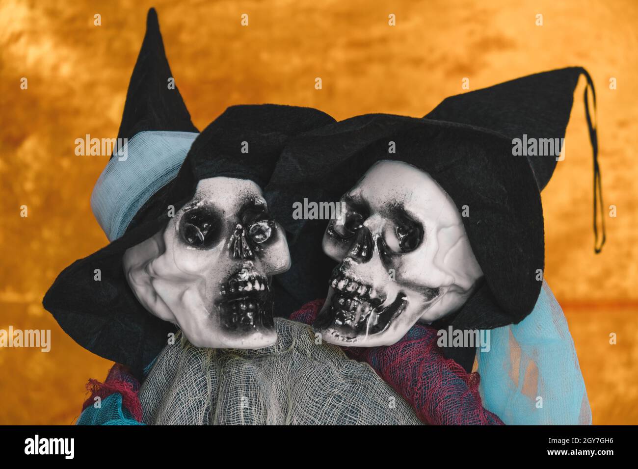 A portrait of two funny human skeletons, hugging each other in a ...