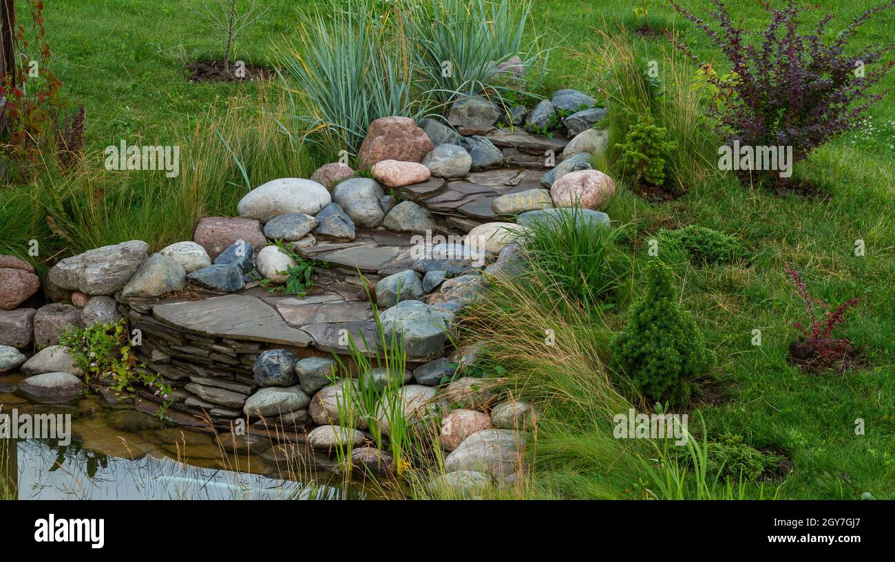 landscape with Garden pond with plants in countryside. Architecture of ...