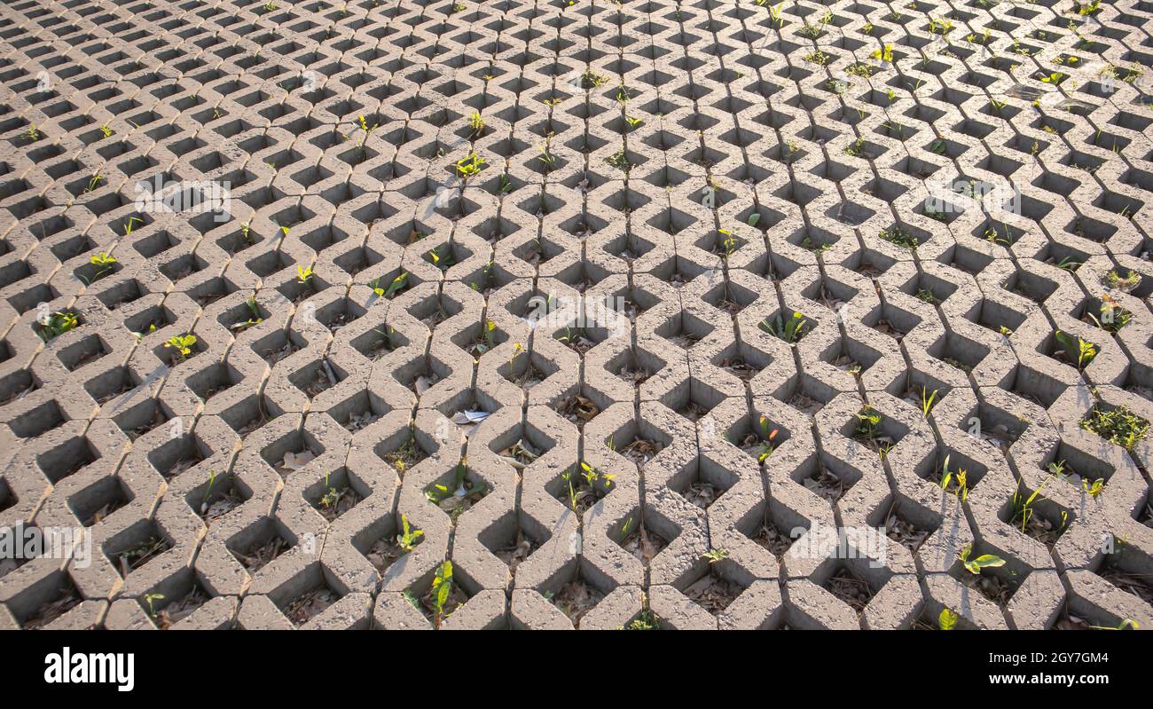 Background from paving slabs with grass sprouting through them. Stone ...