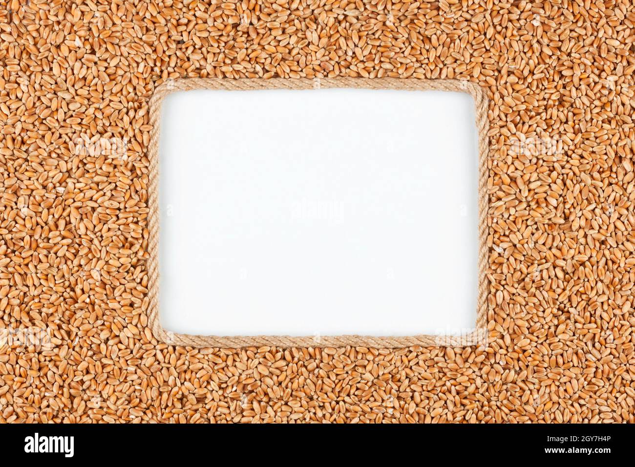 Frame made of rope with wheat grains and a white background, with space ...