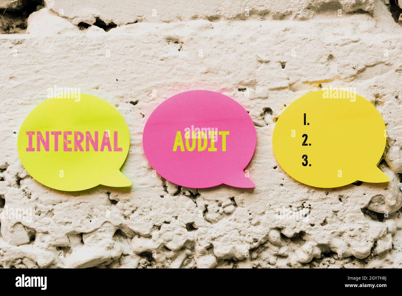 Text sign showing Internal Audit, Business overview evaluates the ...