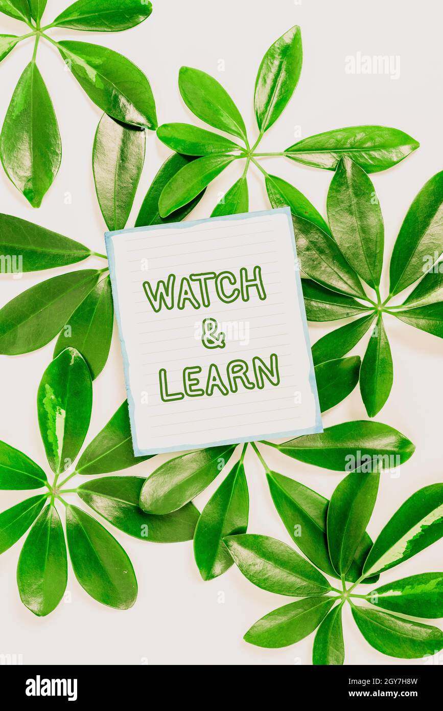 Sign displaying Watch And Learn, Business approach demonstrating an ...