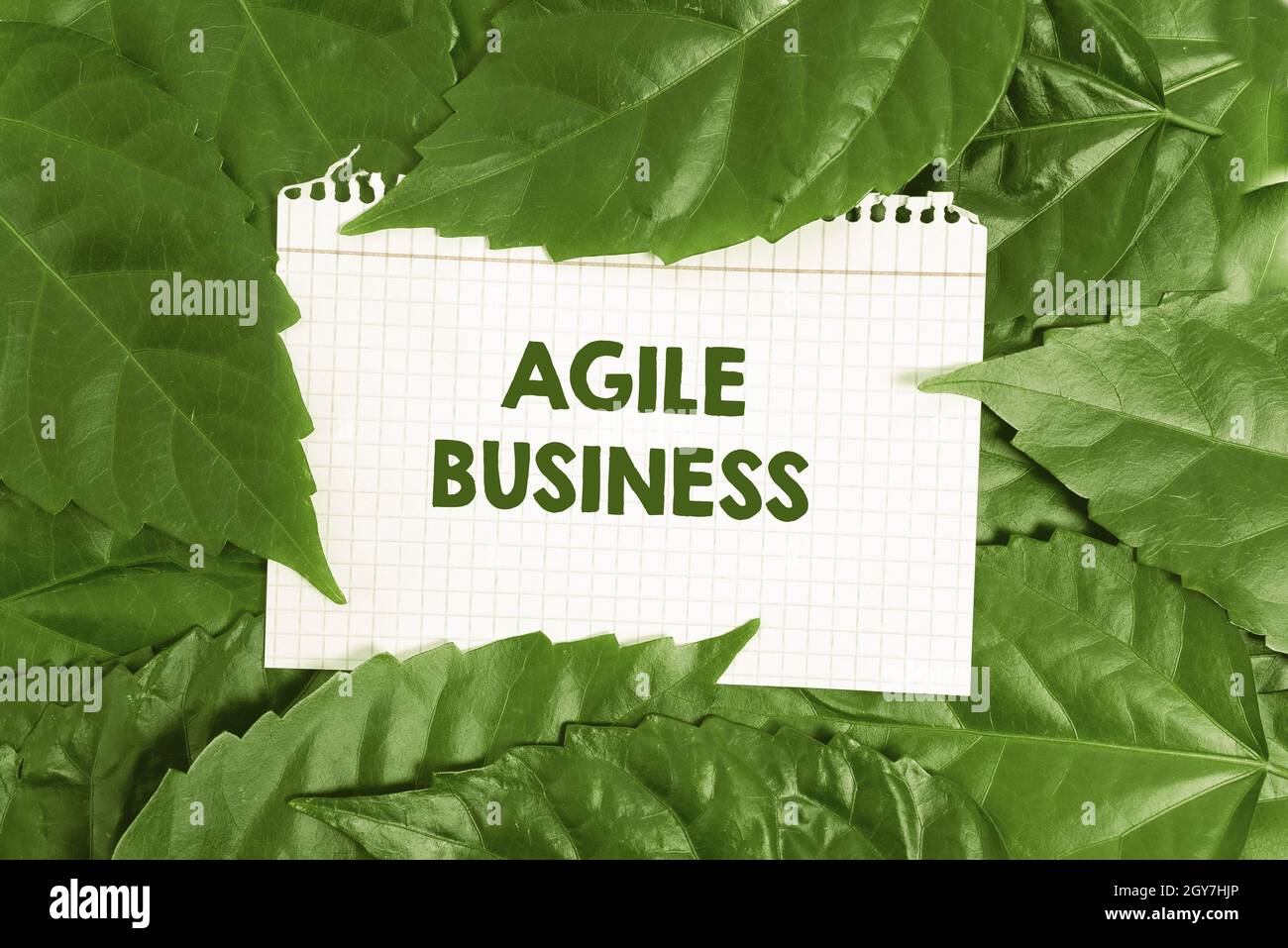 Handwriting text Agile Business, Business idea capability of adjusting ...