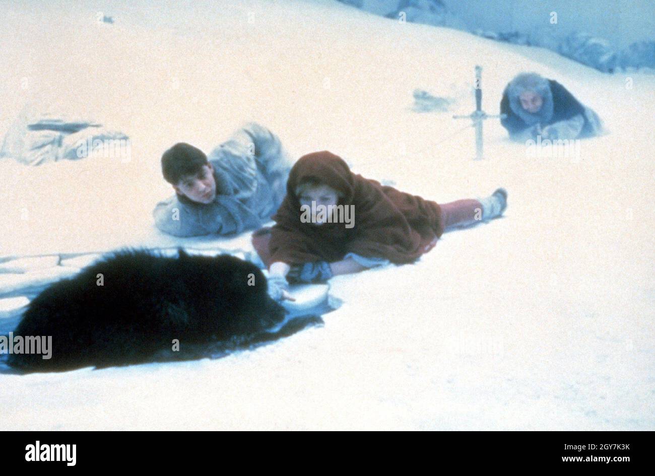 Ladyhawke year hi-res stock photography and images - Alamy