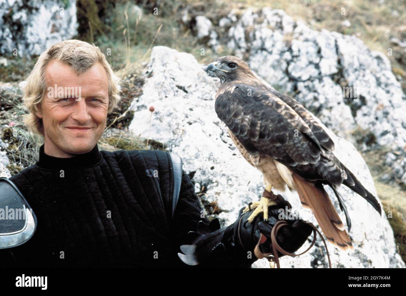 Ladyhawke year hi-res stock photography and images - Alamy