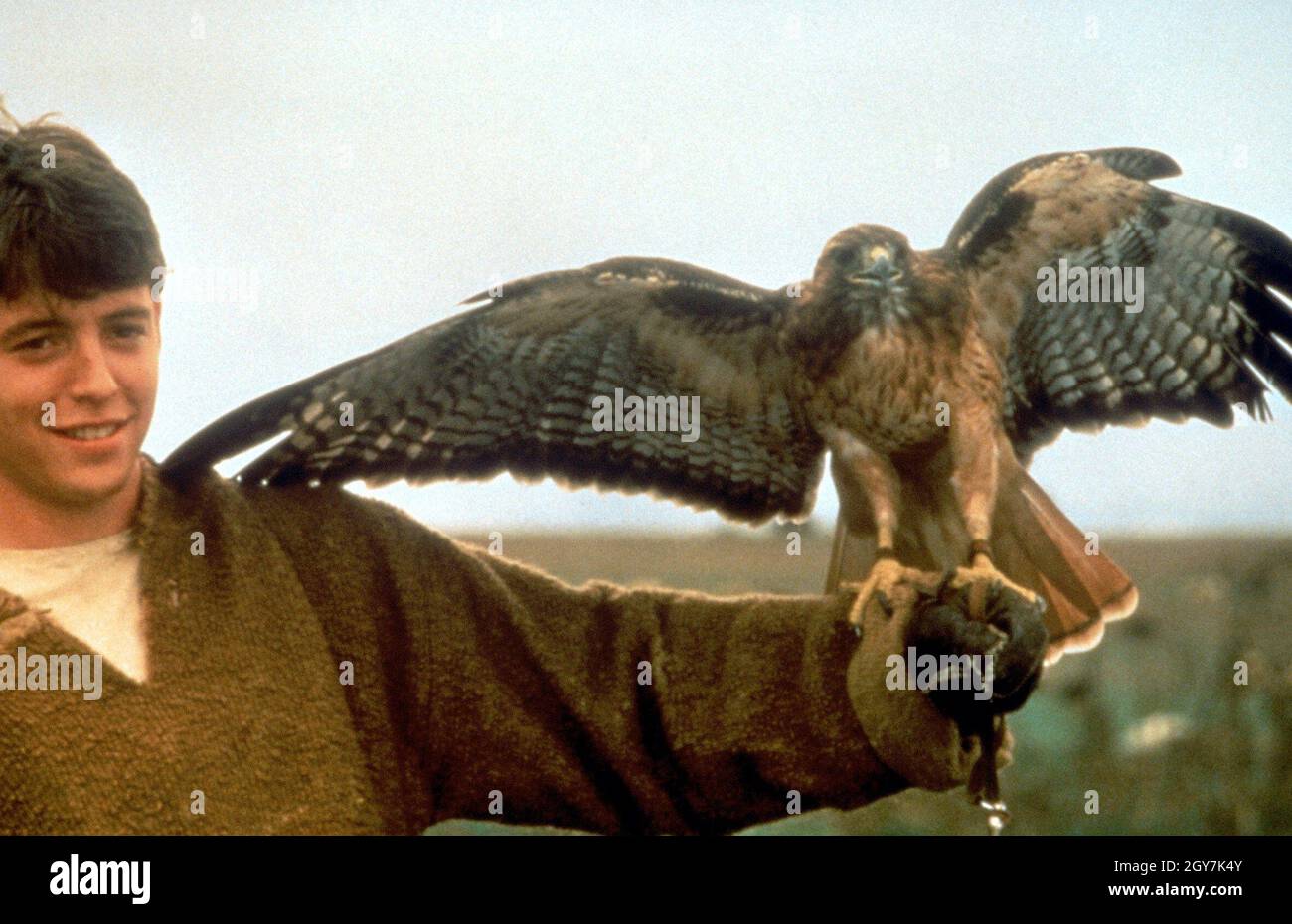 Ladyhawke year hi-res stock photography and images - Alamy