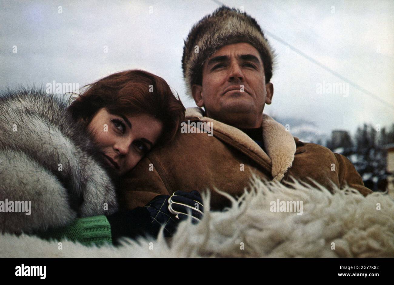 Il Tigre The Tiger and the Pussycat Year : 1967 Italy Director: Dino ...