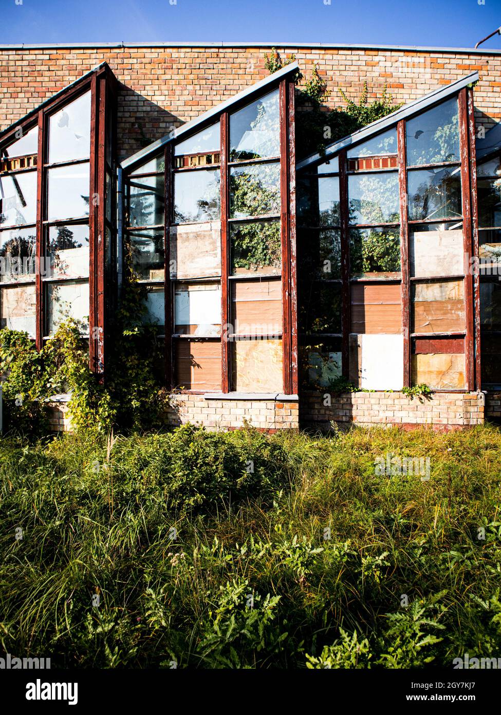 nature takes over the city. Abandoned building Stock Photo - Alamy
