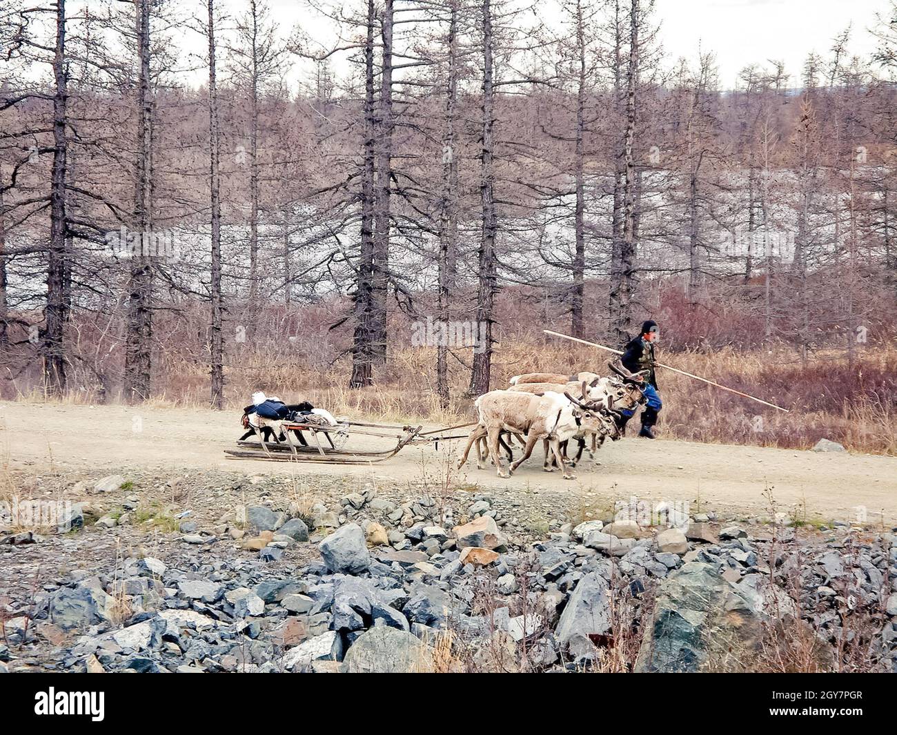 Migratory Pasture Farming High Resolution Stock Photography and Images ...
