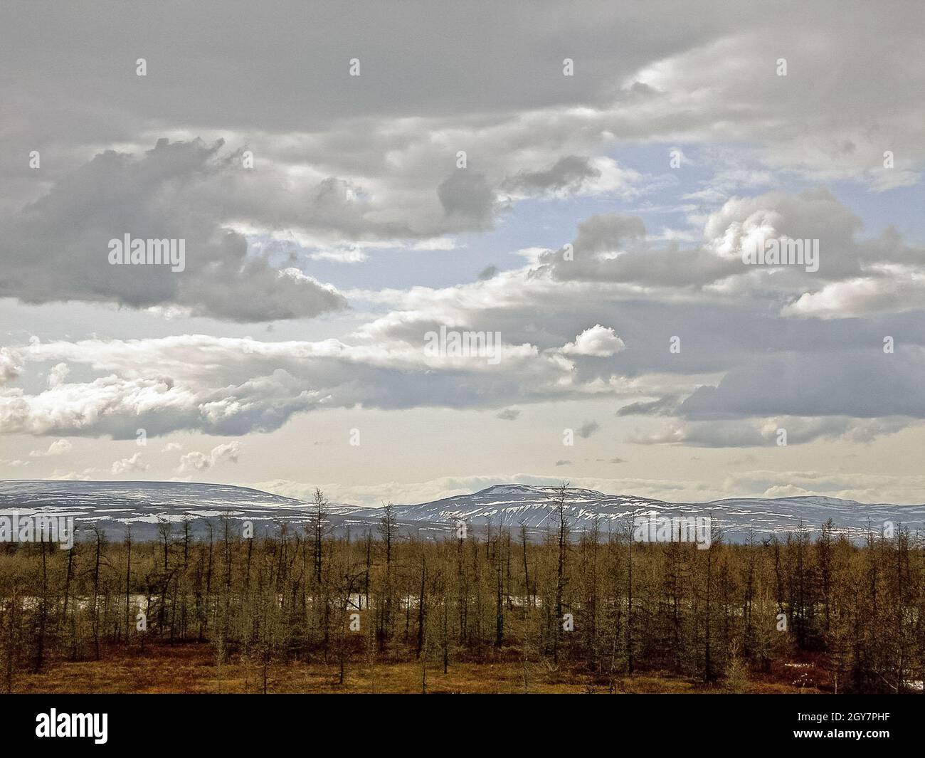Autumn landscape in the forest and sky with clouds Stock Photo - Alamy