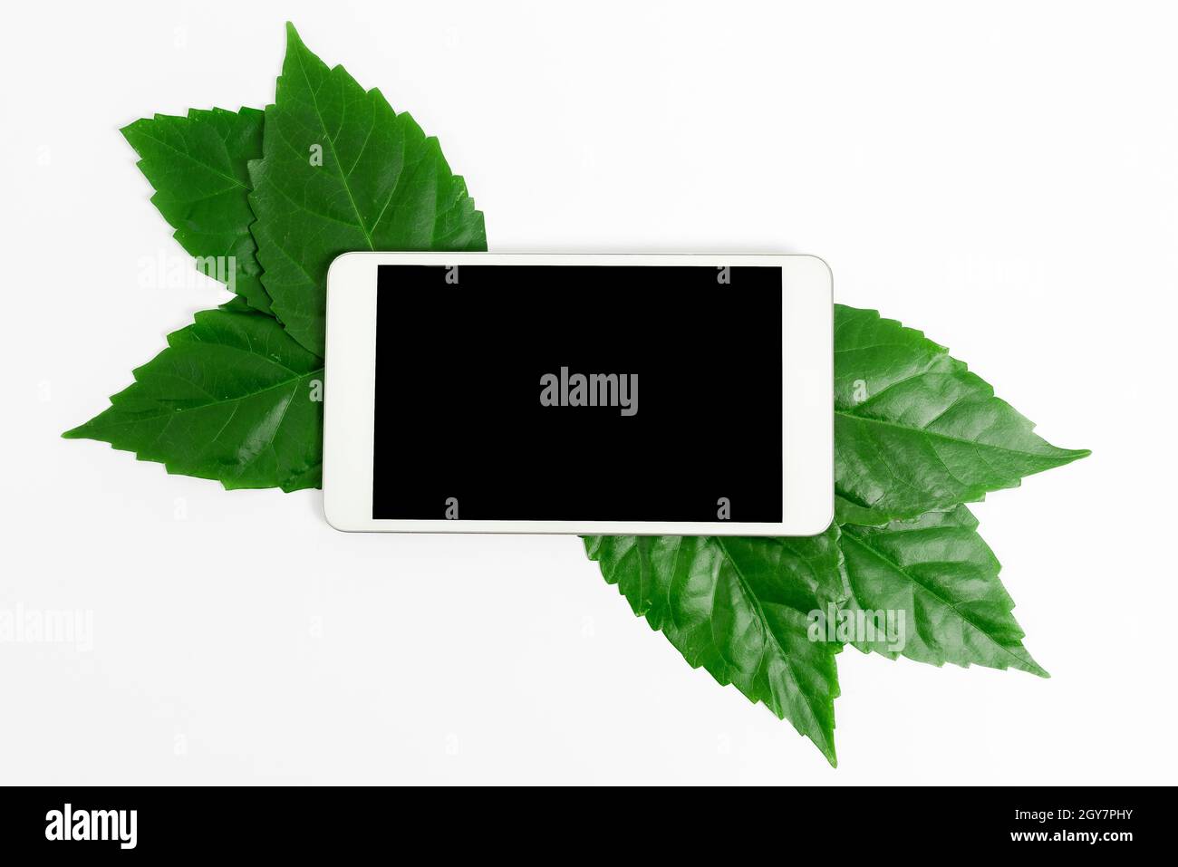 Saving Environment Ideas And Plans, Creating Sustainable Products Stock ...