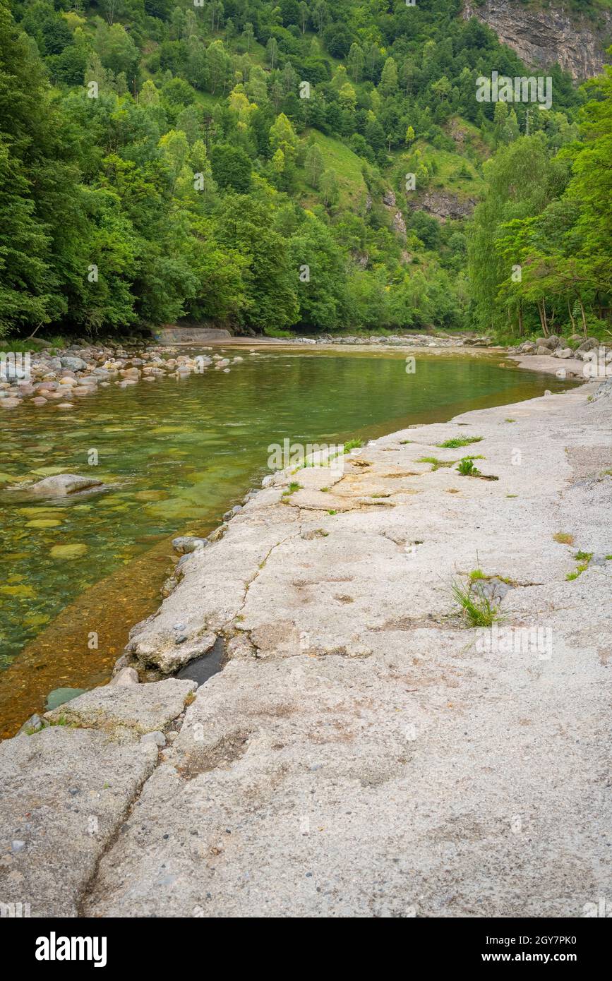 Serio river and wonderful trees around it, Seriana valley, Bergamo ...