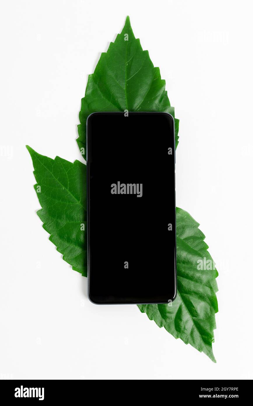 Saving Environment Ideas And Plans, Creating Sustainable Products Stock ...