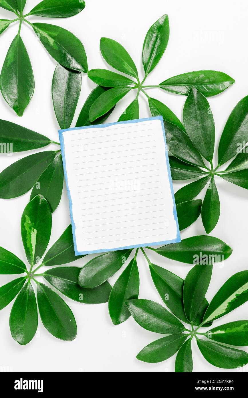 Saving Environment Ideas And Plans, Creating Sustainable Products Stock ...