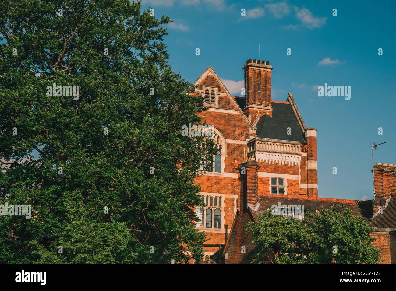 Victorian style house behind trees in Cambridge England Stock Photo - Alamy