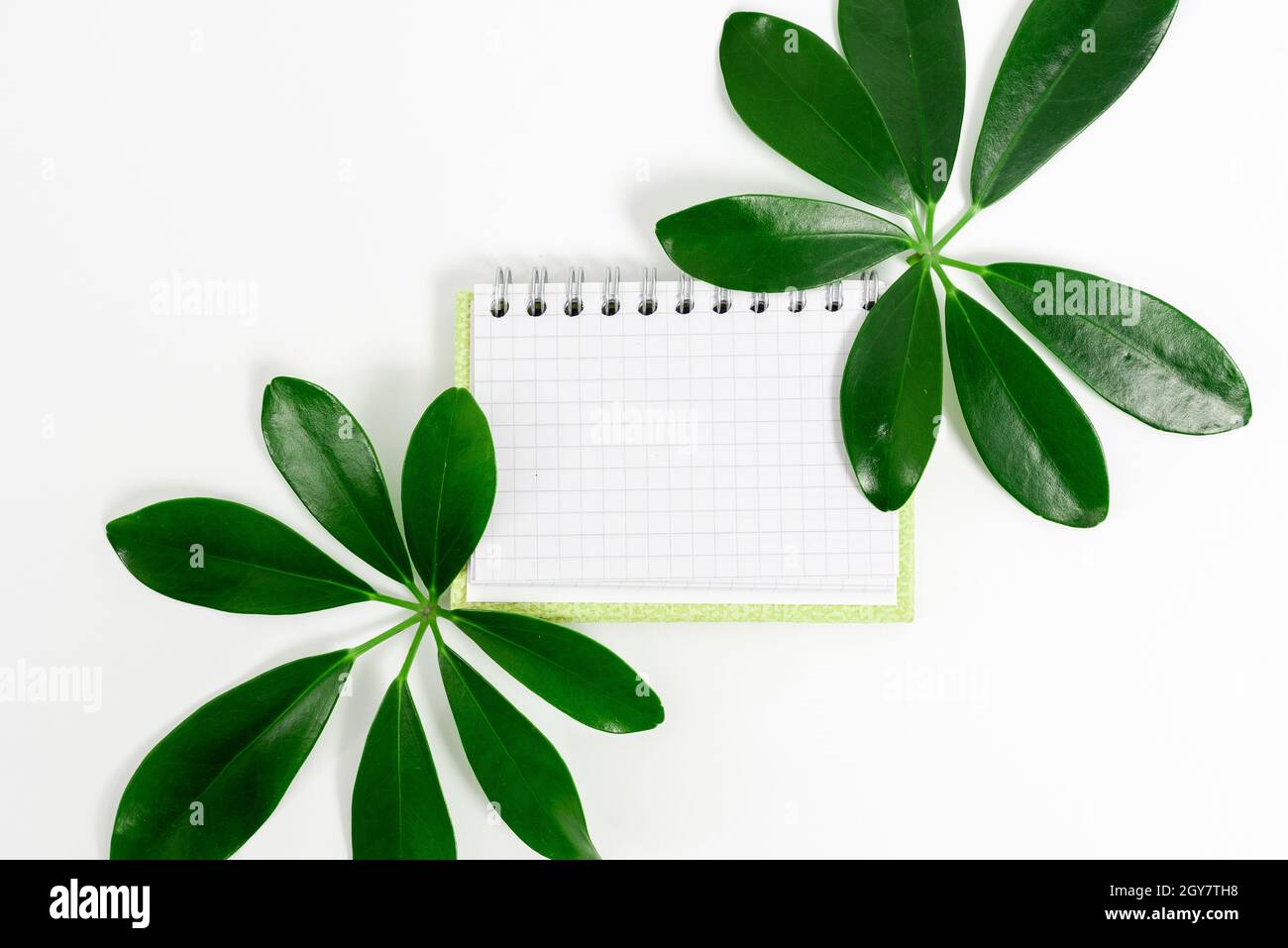 Saving Environment Ideas And Plans, Creating Sustainable Products Stock ...